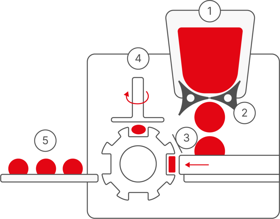 König Mini Rex Multi